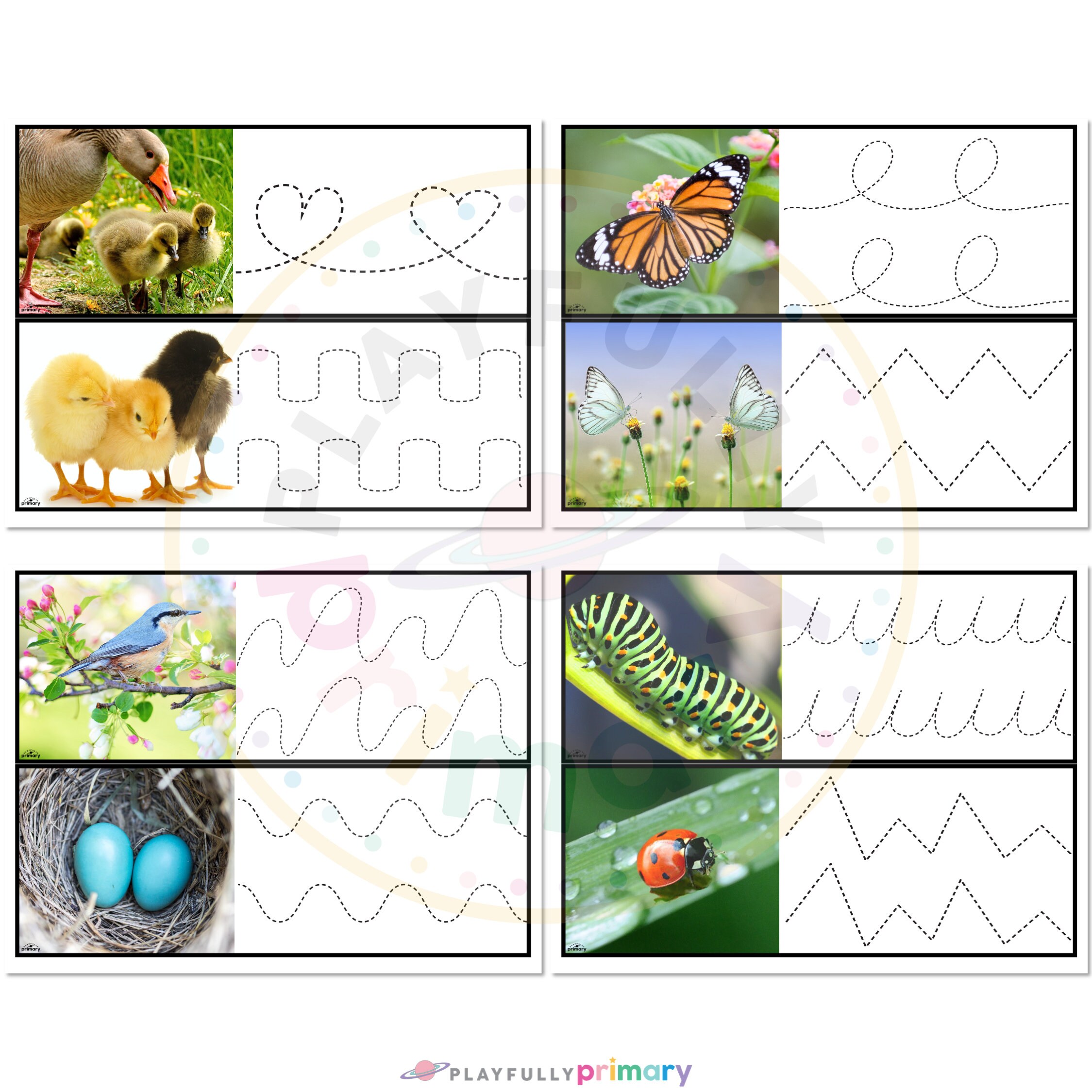 Spring Tracing Cards Line Tracing Practice Spring Fine Motor Skills ...