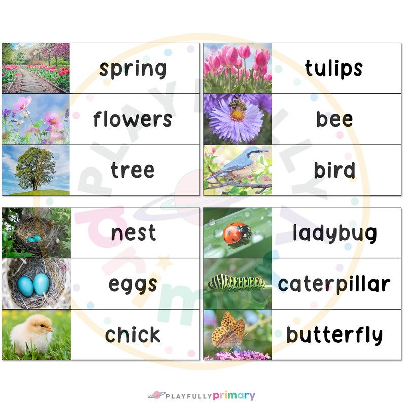 Spring Vocabulary Words With Pictures, Homeschool Spring Vocabulary ...