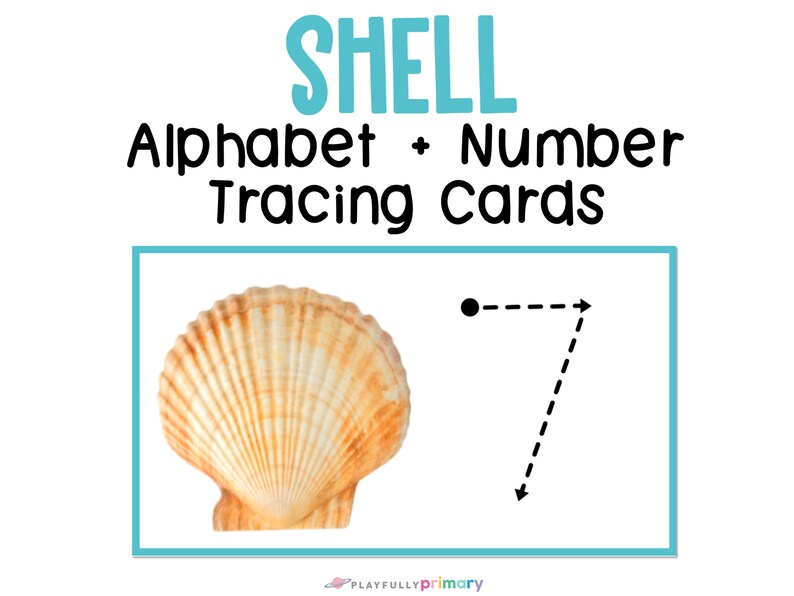 Sea Shell Unit Study Alphabet Letter Formation Cards, Montessori Ocean ...