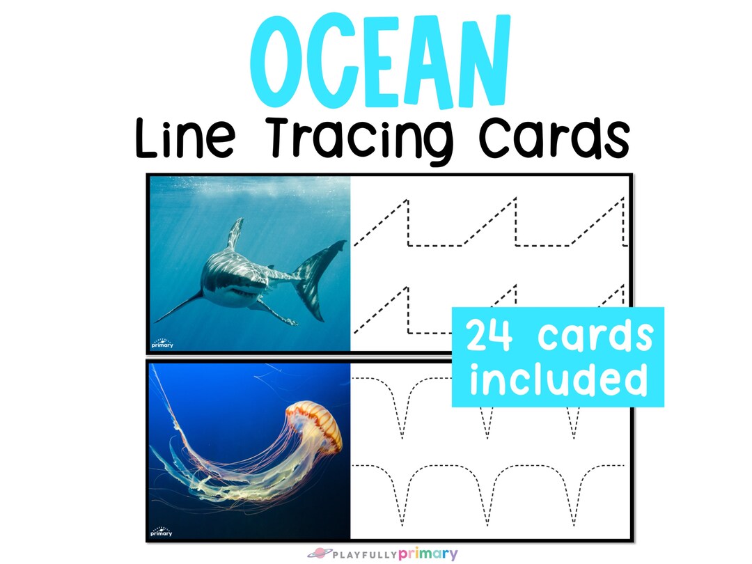 Under the Sea Preschool Ocean Unit Study Activity, Montessori Ocean ...