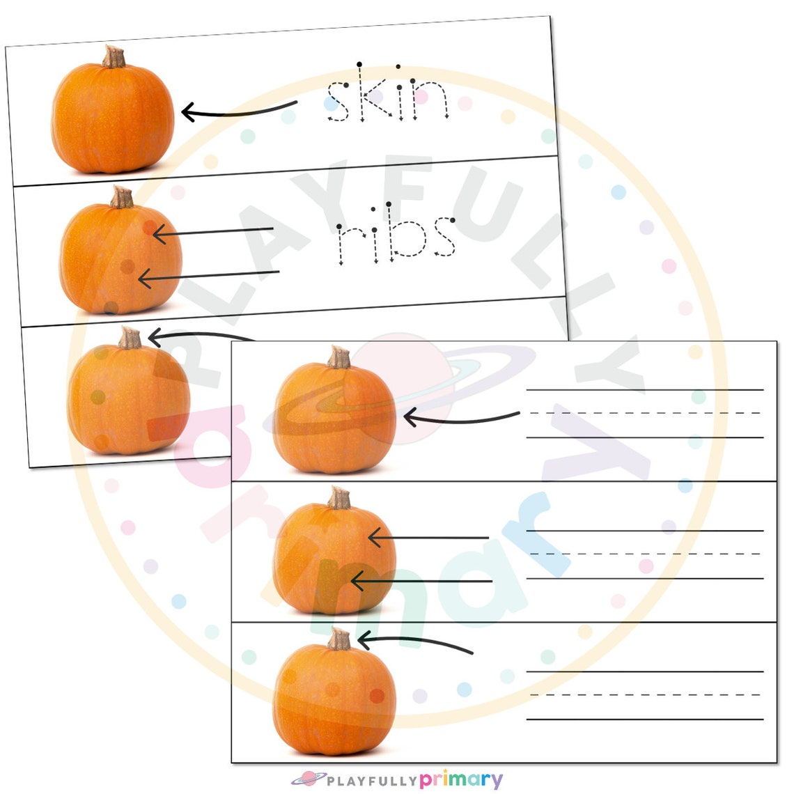 Pumpkin Vocabulary Words, Pumpkin Theme Preschool Prek Kindergarten ...