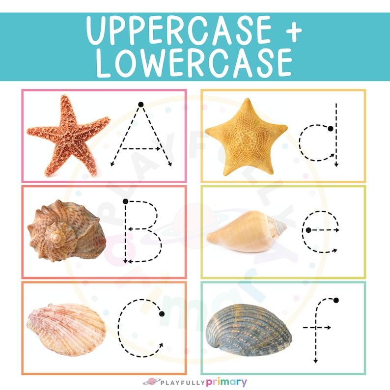 Sea Shell Unit Study Alphabet Letter Formation Cards - Etsy