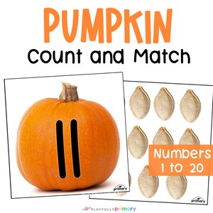 Pumpkin Seed Counting Printable, Pumpkin Counting Flashcards 1-20 ...