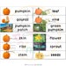 Pumpkin Vocabulary Words, Pumpkin Theme Preschool Prek Kindergarten ...