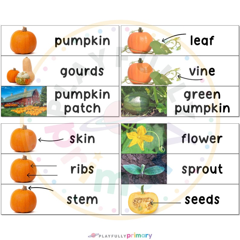 Pumpkin Vocabulary Words, Pumpkin Theme Preschool Prek Kindergarten ...