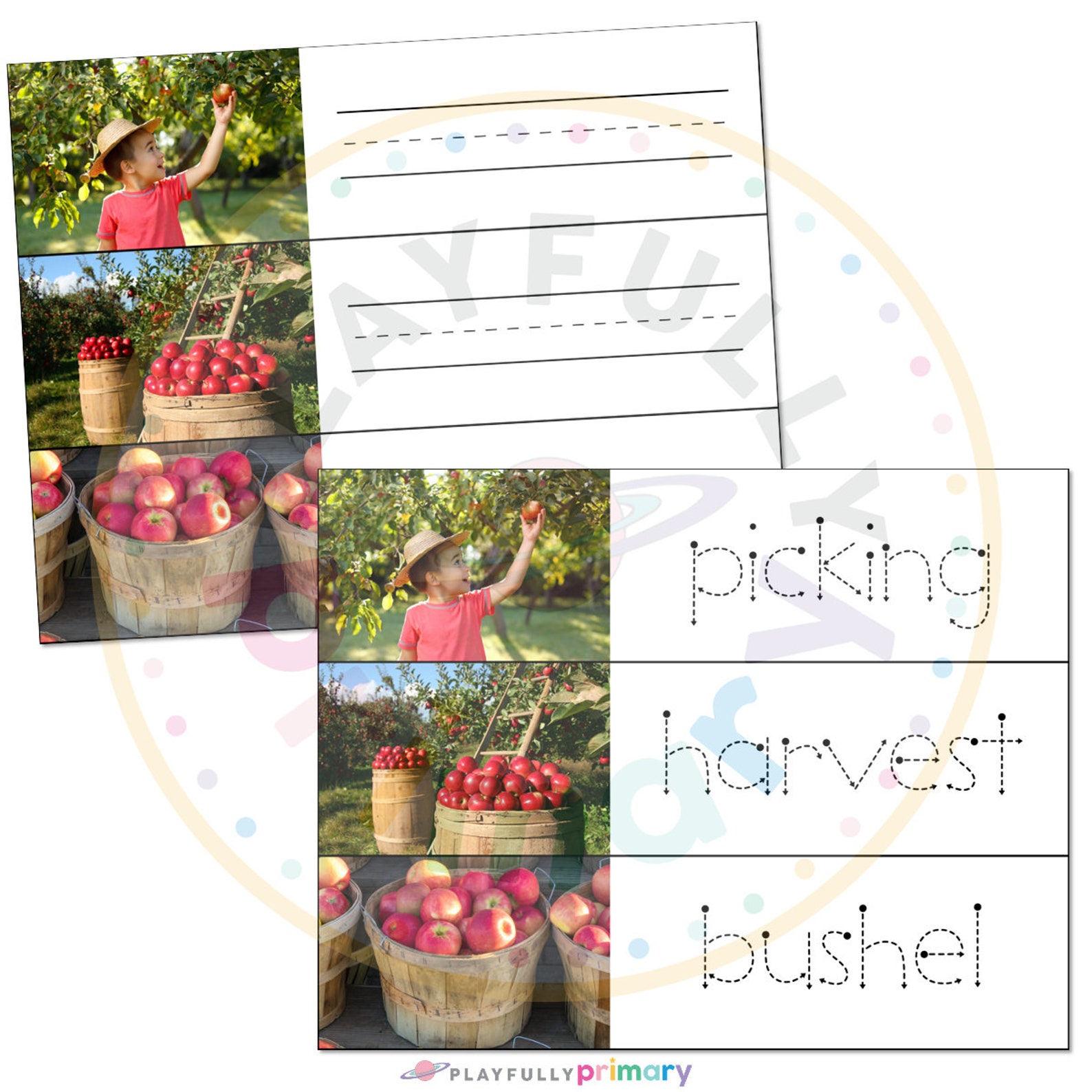 Apple Vocabulary Words, Apple Theme Preschool Prek Kindergarten ...