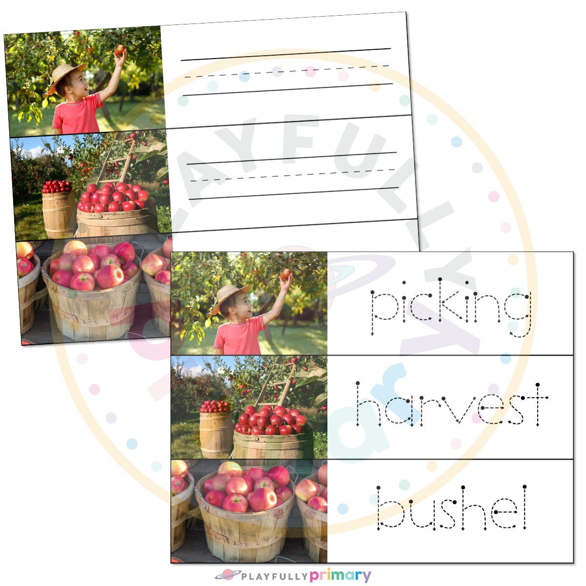 Apple Vocabulary Words, Apple Theme Preschool Prek Kindergarten ...