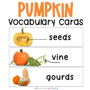Pumpkin Vocabulary Words, Pumpkin Theme Preschool Prek Kindergarten ...