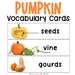 Pumpkin Vocabulary Words, Pumpkin Theme Preschool Prek Kindergarten ...