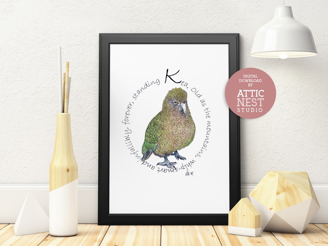 Kea Parrot - New Zealand Native Bird - Digital Download Format, Print ...