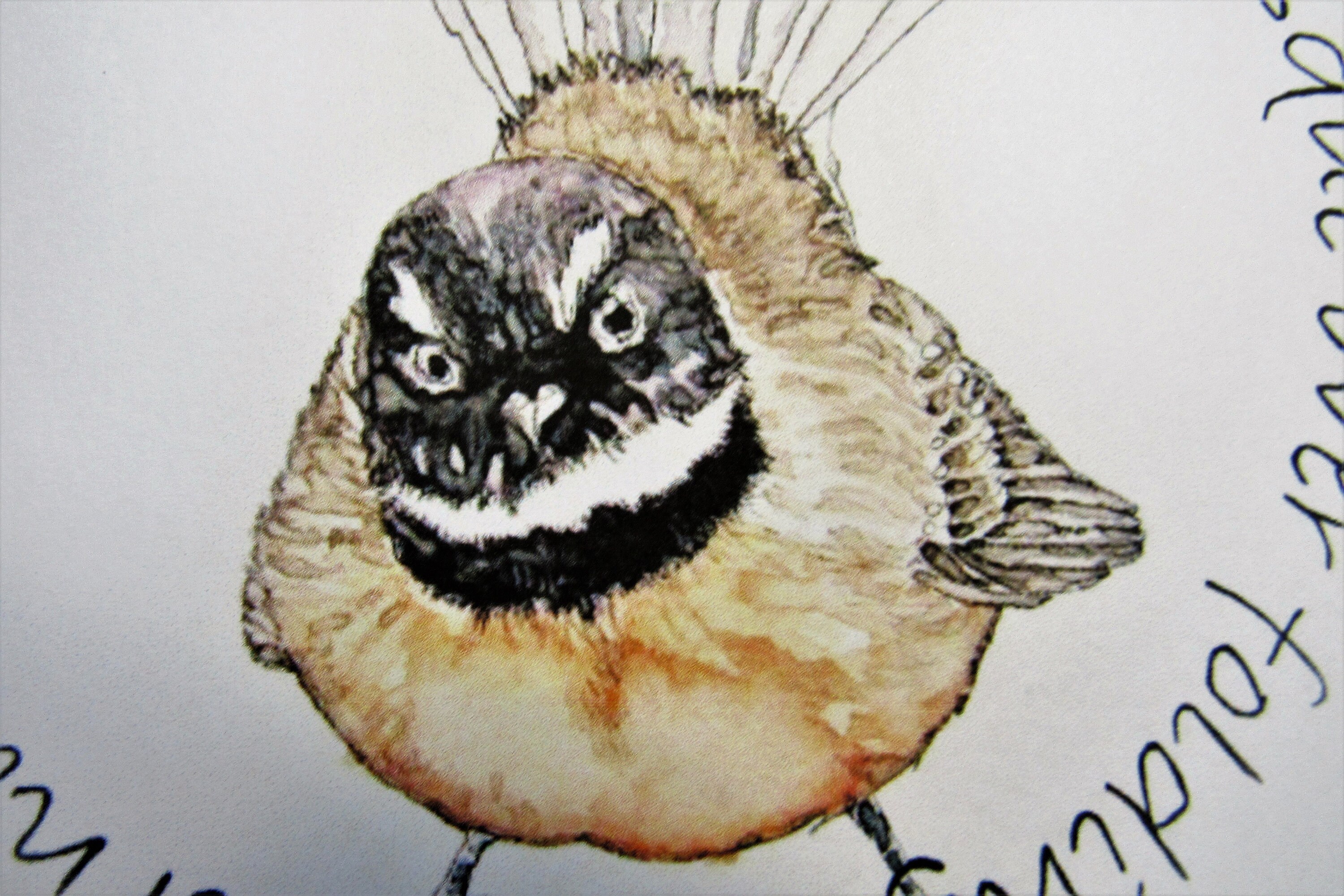 Fantail New Zealand Native Bird Haiku Poem From Original | Etsy UK