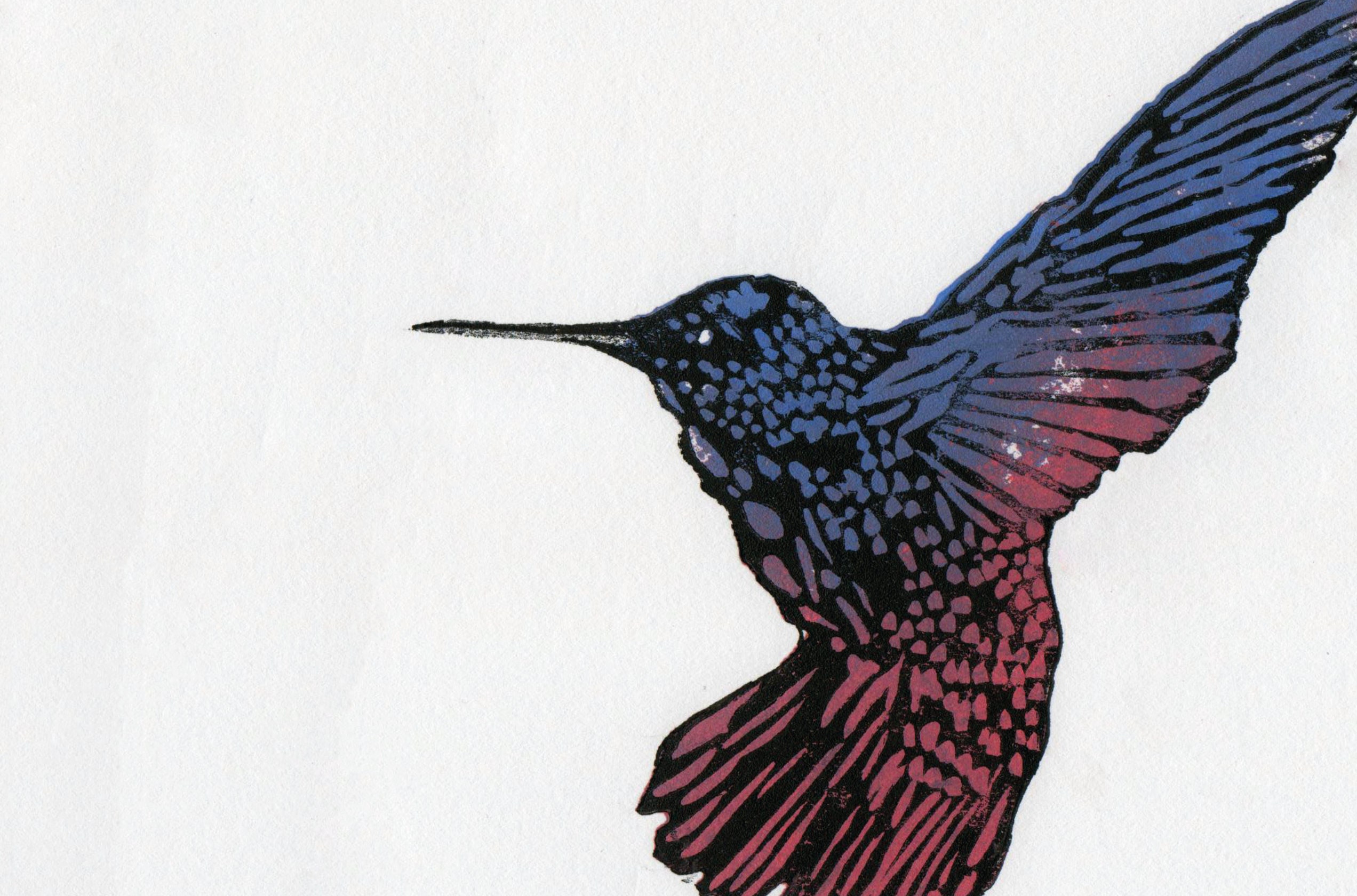 Hummingbird New Zealand Artist From Original Lino Print - Etsy