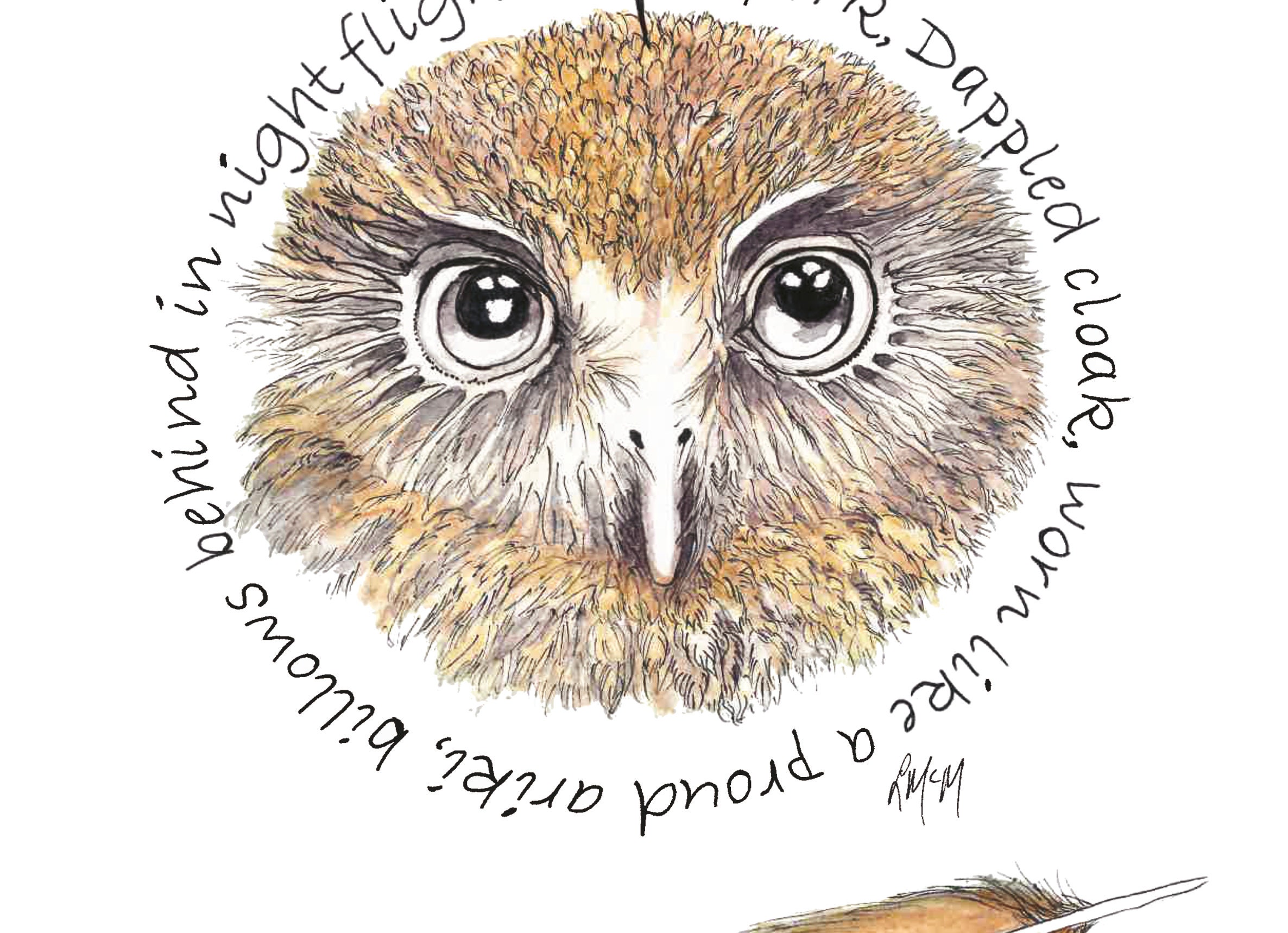 Morepork Owl New Zealand Native Bird Digital Download Format, Print at ...