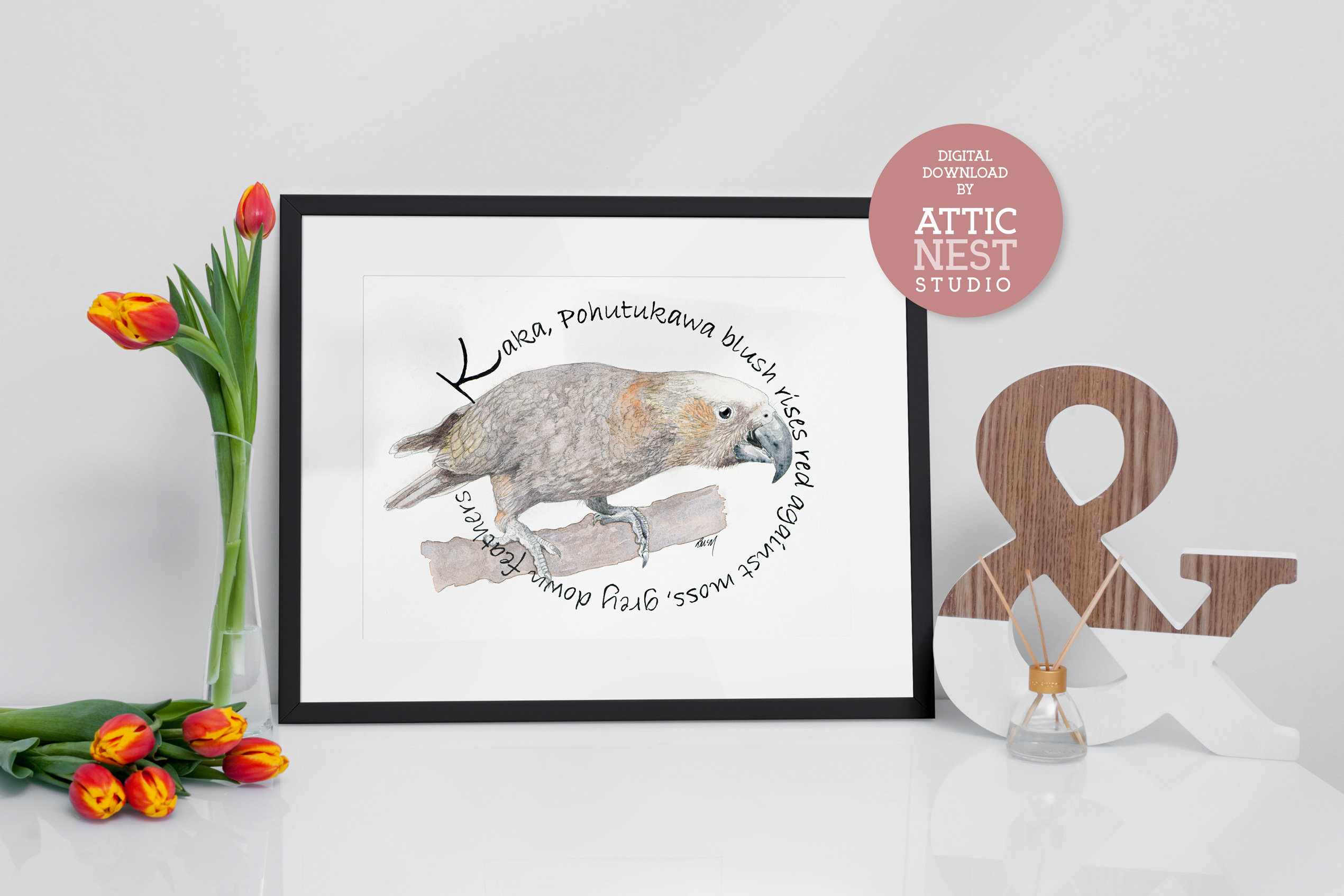 Kaka Parrot - New Zealand Native Bird - Haiku Design - From Original ...