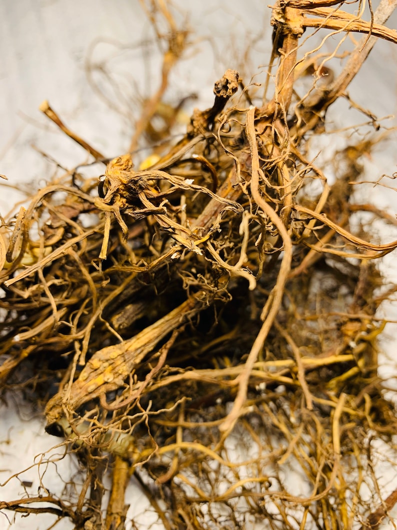 Mandrake roots - iladeg