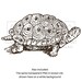 Vintage Turtle Illustration Clip Art Digital Download - Etsy