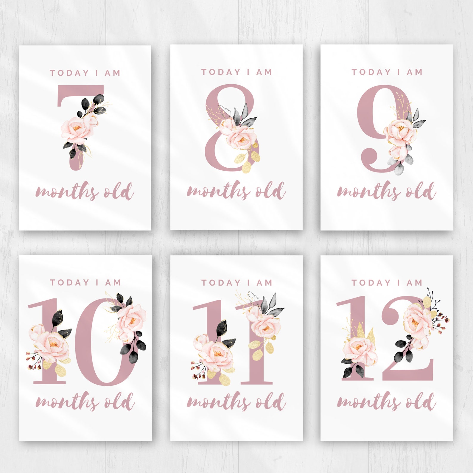 Baby Monthly Milestone Card for Baby Girl Printable Baby Month | Etsy