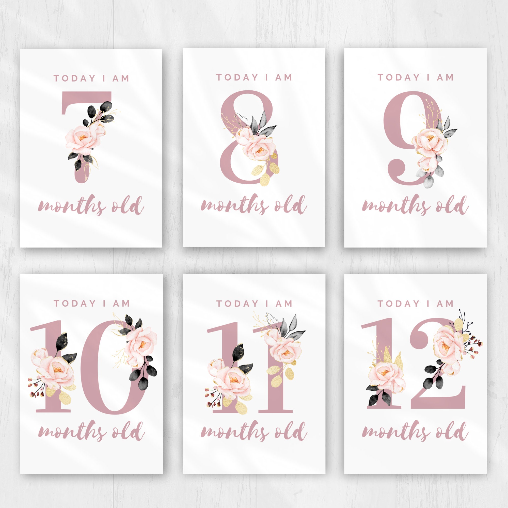 Baby Monthly Milestone Card for Baby Girl Printable Baby Month | Etsy