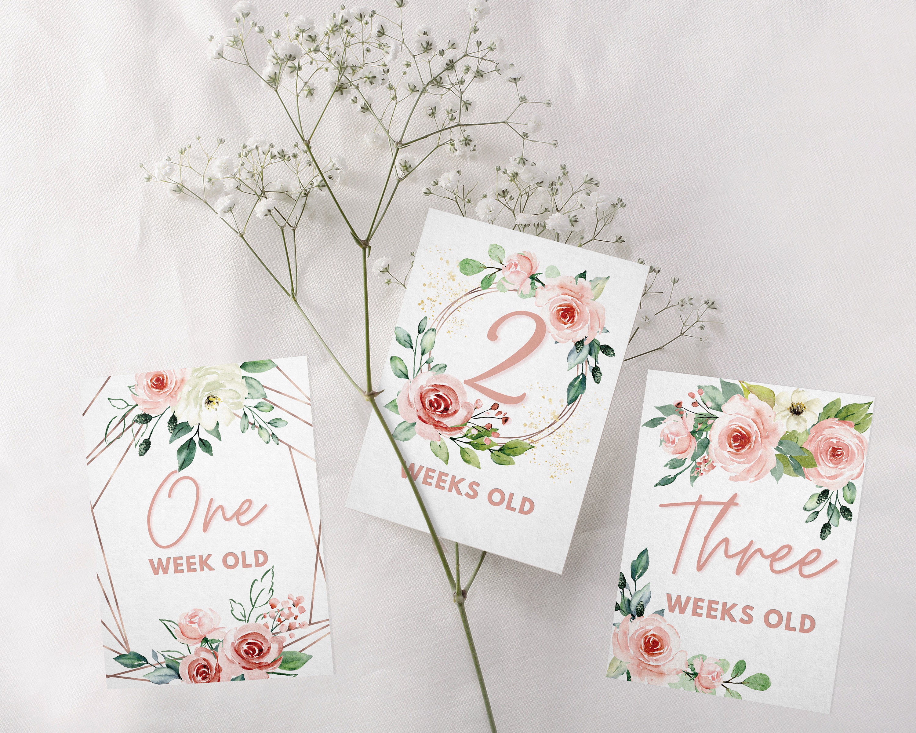 Baby Monthly Milestone Card for Baby Girl Printable Baby Month | Etsy