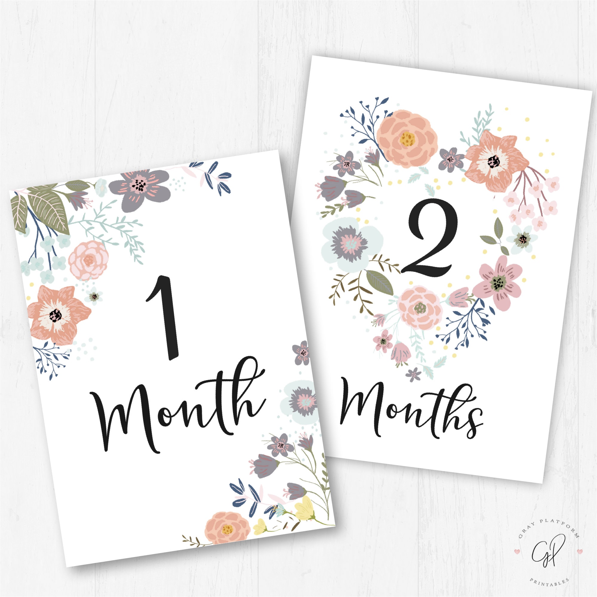 Baby Monthly Milestone for Baby Girl Printable Baby Month Card - Etsy