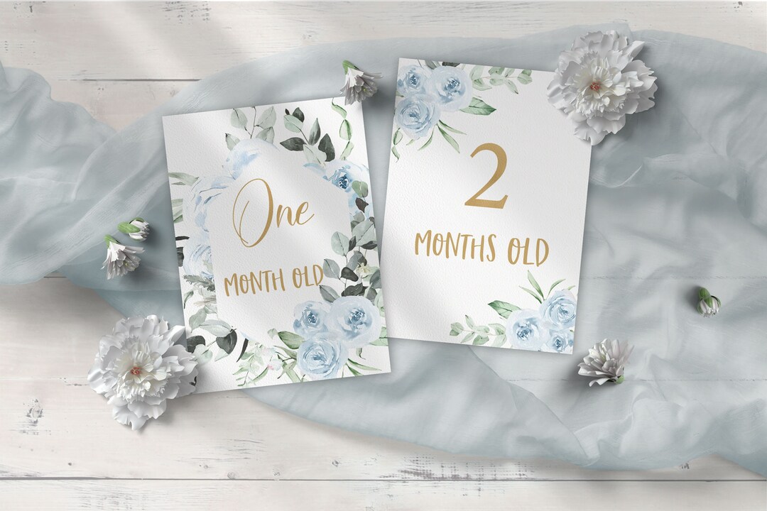 Baby Monthly Milestone Card Printable, Light Blue, Watercolor Flowers ...