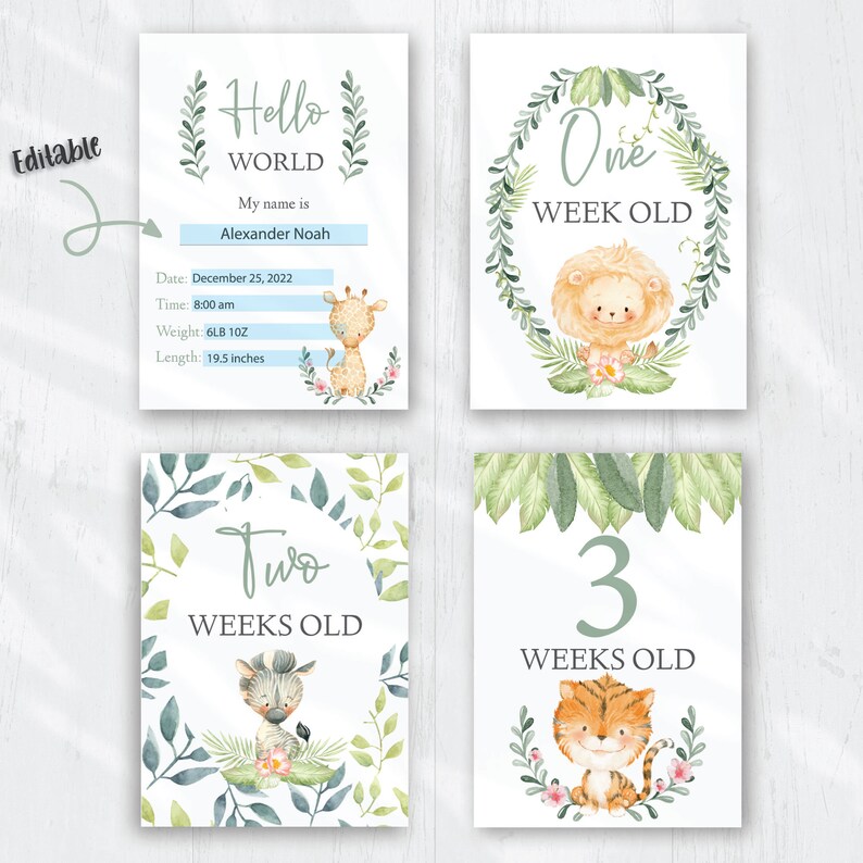 Baby Monthly Milestone Card Printable Safari Baby Animals | Etsy Israel