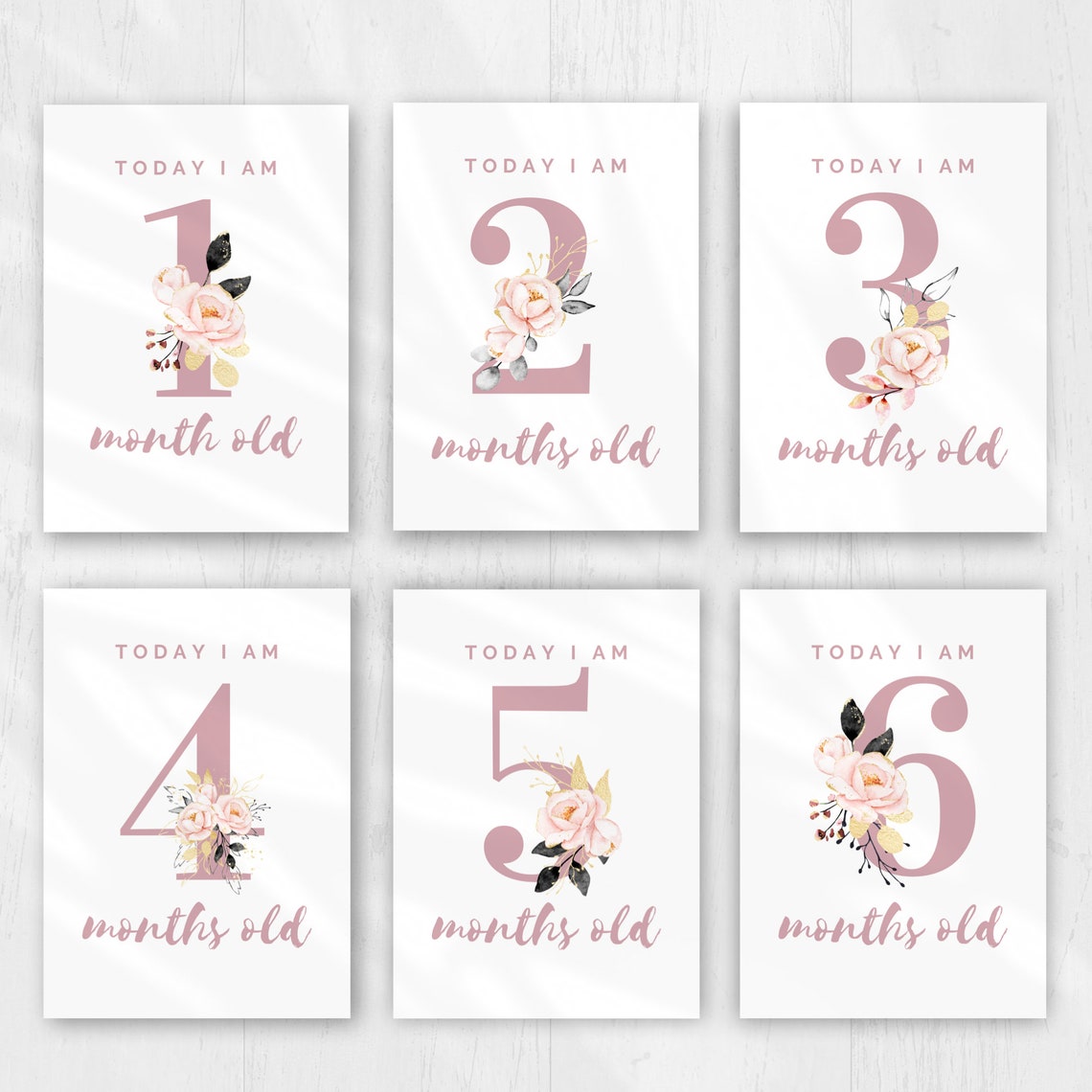 Baby Monthly Milestone Card for Baby Girl Printable Baby Month | Etsy
