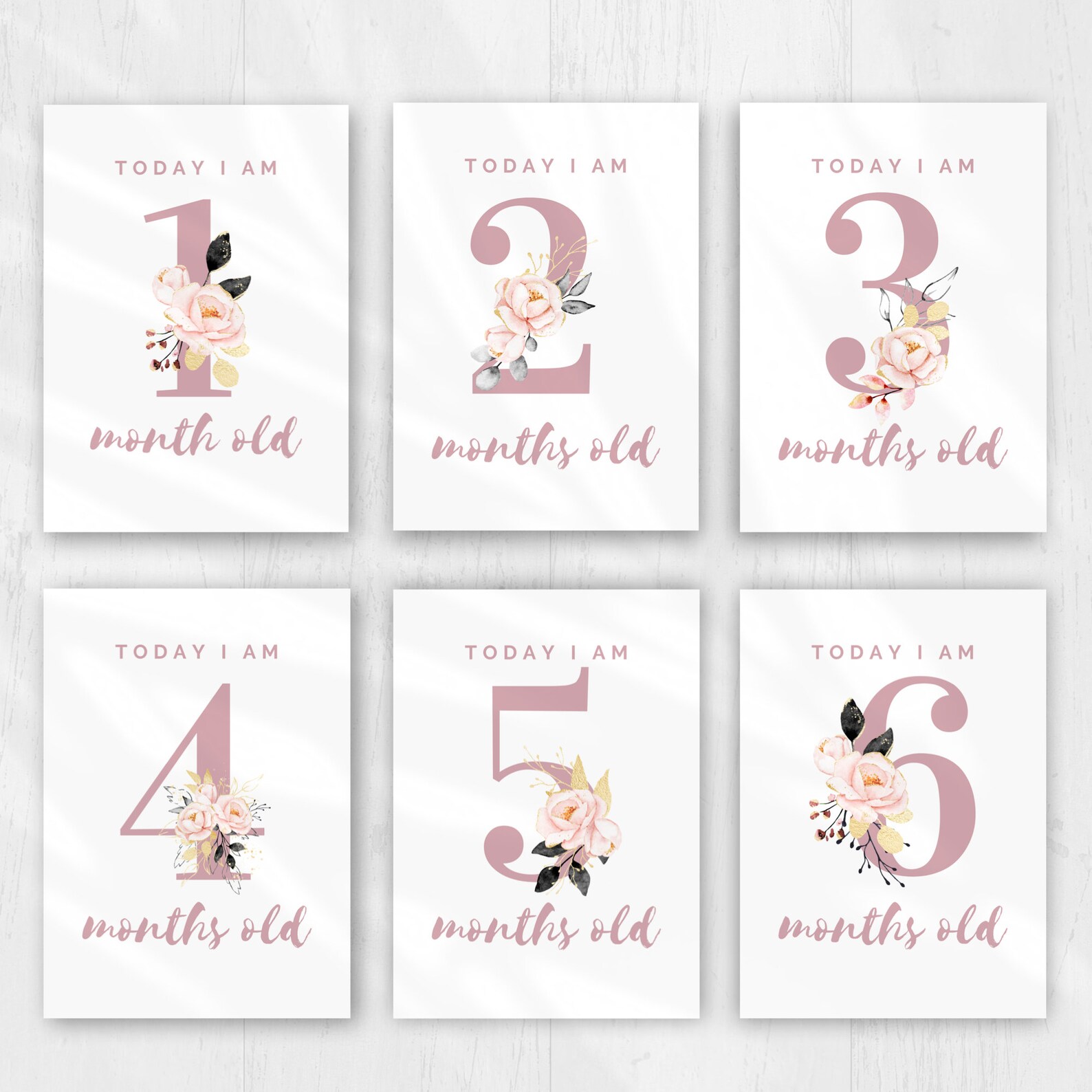 Baby Monthly Milestone Card for Baby Girl Printable Baby Month | Etsy