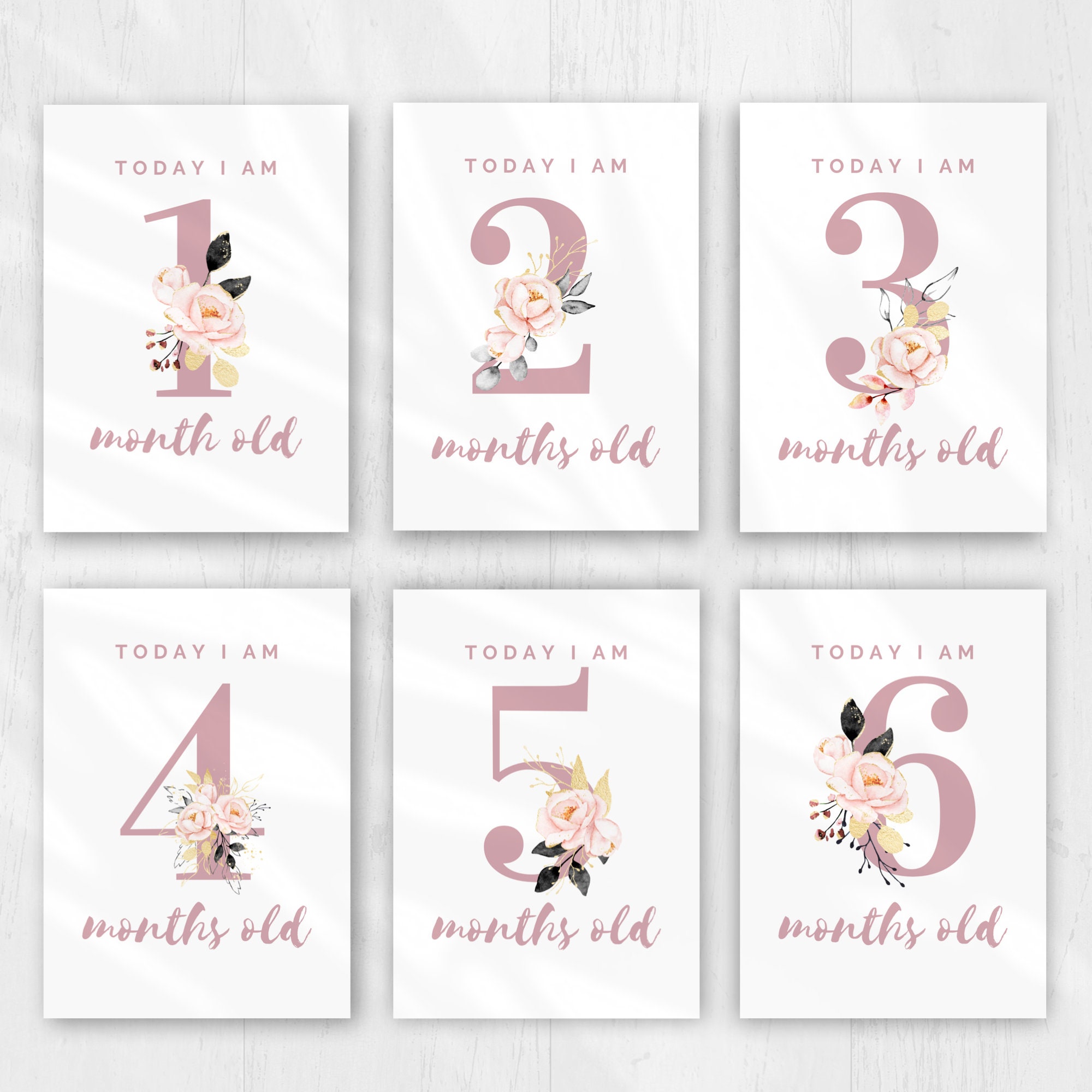 Baby Monthly Milestone Card for Baby Girl Printable Baby Month | Etsy