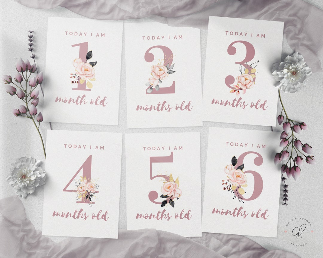 Baby Monthly Milestone Card for Baby Girl Printable Baby Month Card - Etsy