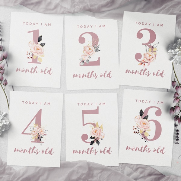 Printable Baby Month - Etsy