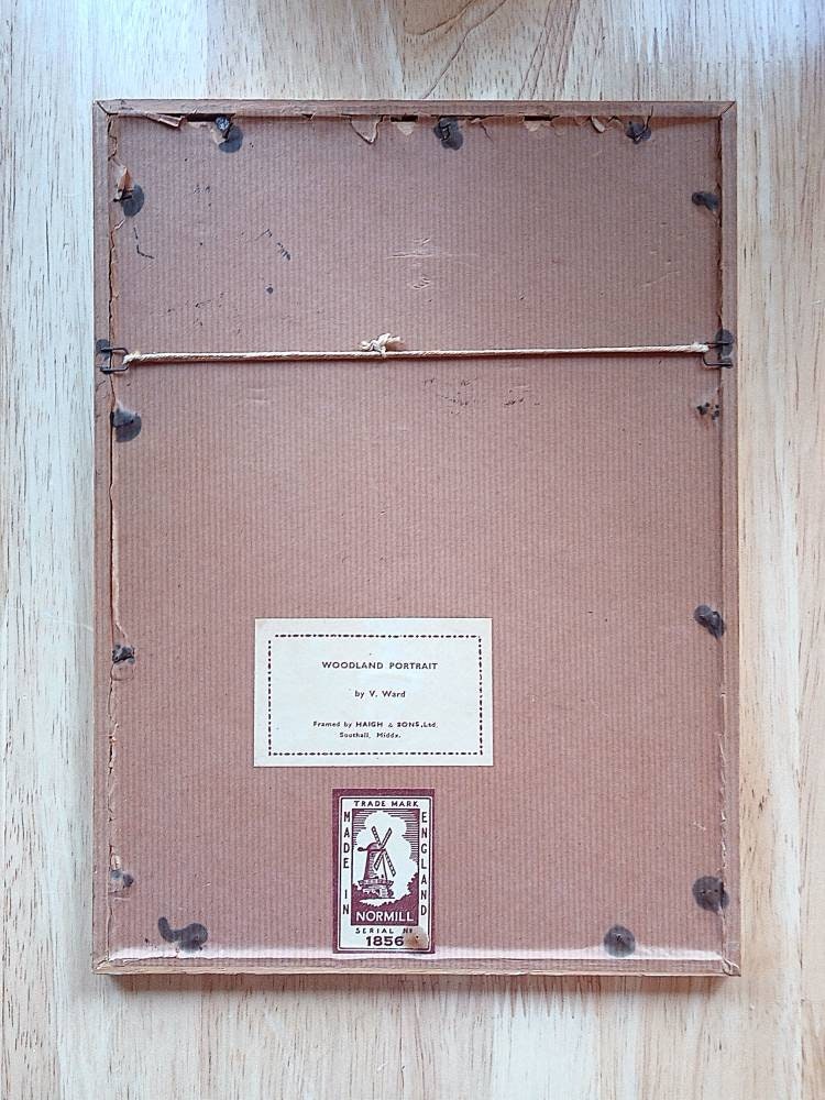 Vernon Ward enchanted Glade & Woodland Portrait Vintage Deer Family ...