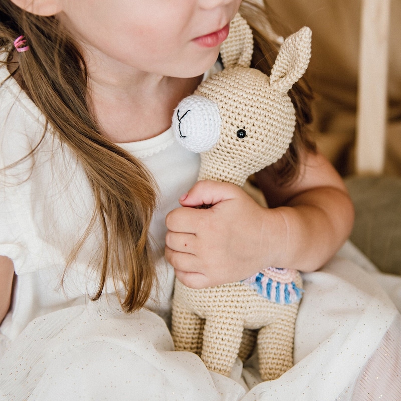 Llama Kids Gift - 60+ Gift Ideas for 2025