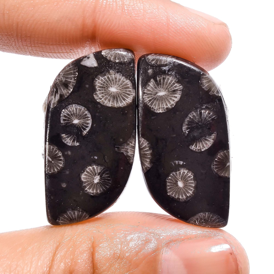 33.5 Ct Black Fossil Coral Pair Natural Black Fossil Coral Fancy Shape ...