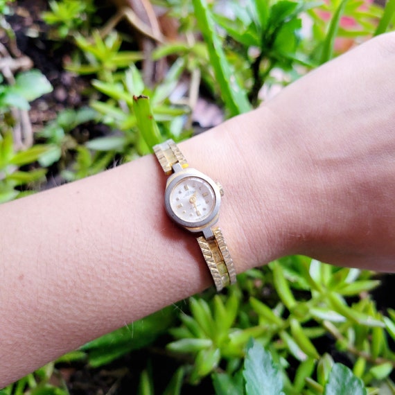 Vintage Swiss Ackro 17 Jewels Classic Dainty Gold & S… - Gem