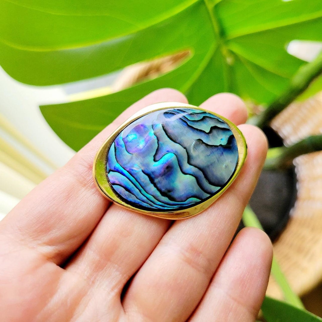 Vintage Abalone Mother of Pearl Blue Shell Boucher Brooch Pin - Etsy