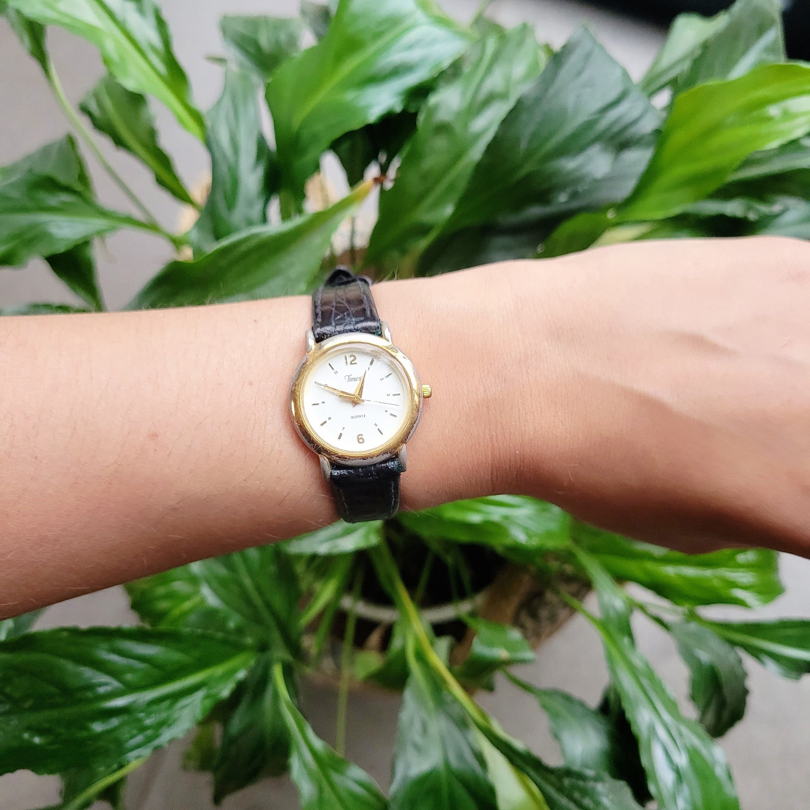 Vintage Timex Quartz Genuine Leather Watch - Etsy