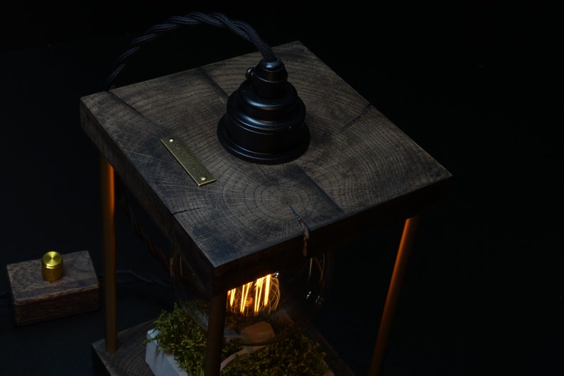 Oak table lamp Lamp and Pot-Desk lamp-Edison Steampunk | Etsy