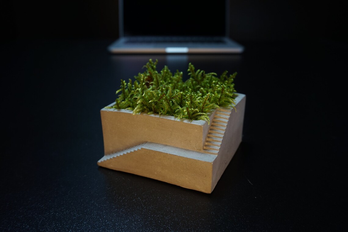 Pot of grass green pot office desk decoration small forest pot | Etsy