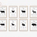 Bison Butcher Guide, Kitchen Printable Art, Butcher Diagram, Butcher ...