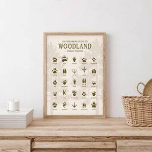 Woodland Animal Tracks Poster, Animal Tracks Kids, Animal Footprint ...