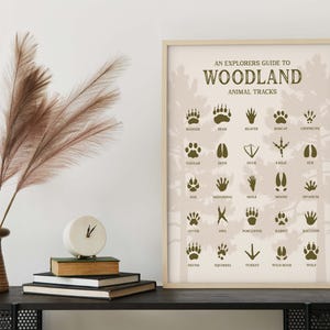 Woodland Animal Tracks Poster, Animal Tracks Kids, Animal Footprint ...