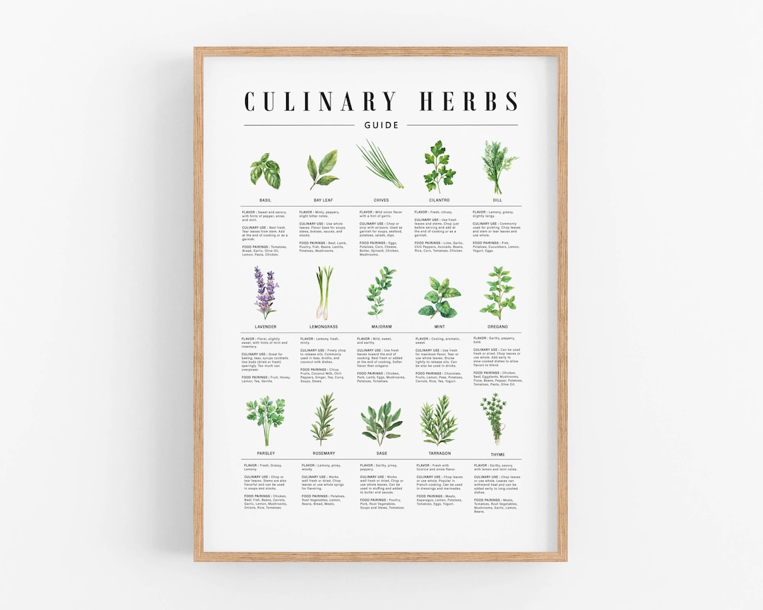 Herb Guide Printable, Kitchen Print Download, Herb Flavor Food Pairing ...