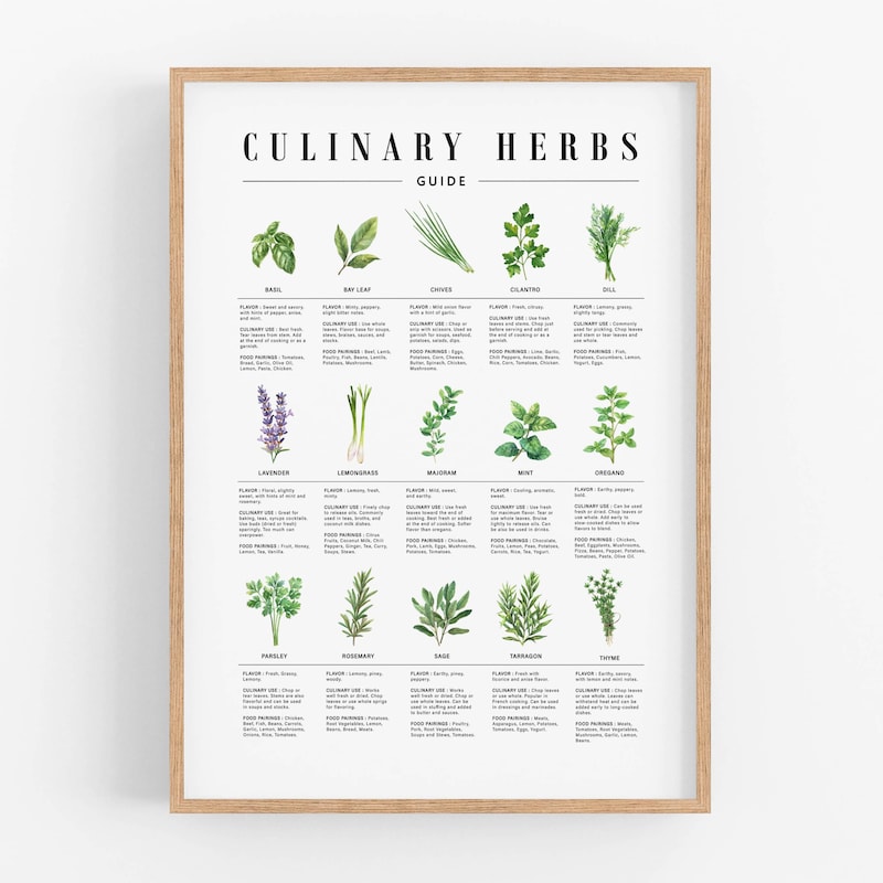Herb Poster - Etsy