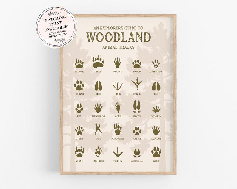 Safari Animal Tracks Poster, Animal Footprint Chart, Animal Tracks ...