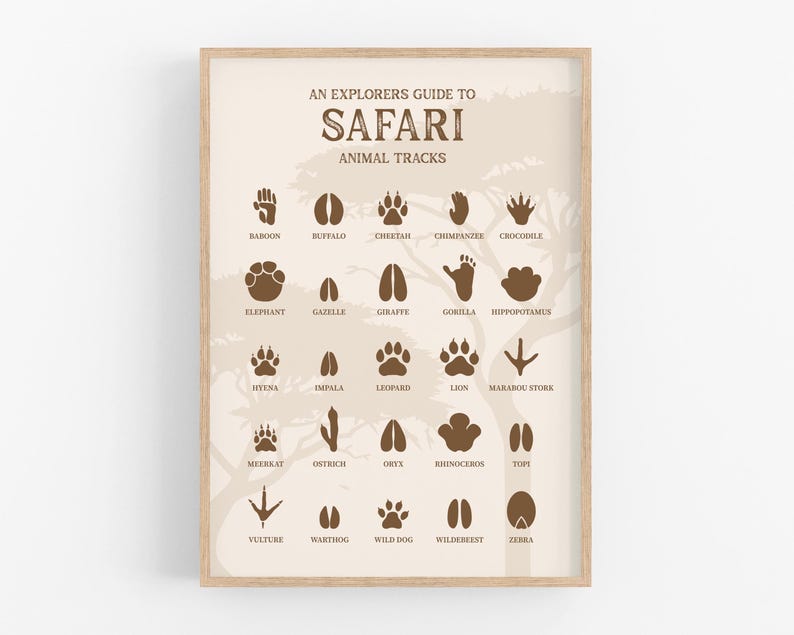 Safari Animal Tracks Poster, Animal Footprint Chart, Animal Tracks ...