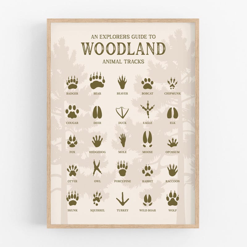Animal Footprints - Etsy