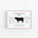 Beef Butcher Guide, Kitchen Butcher Chart, Kitchen Printable Art ...