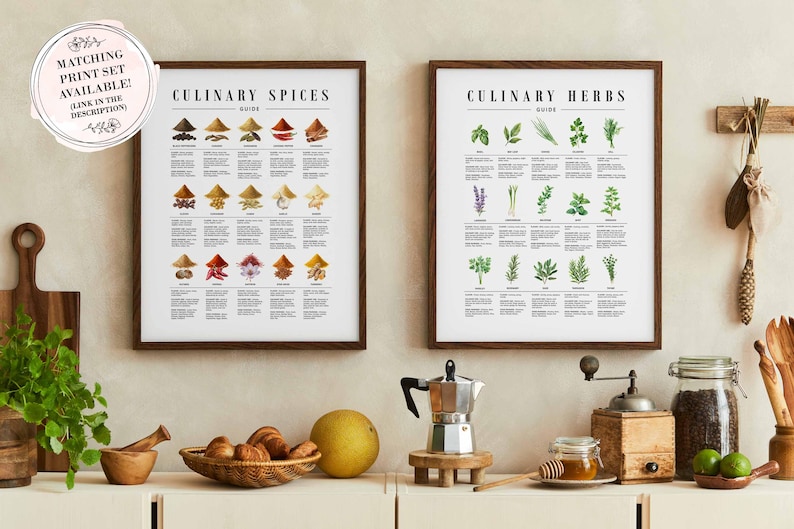 Culinary Spice Guide Poster, Spice Chart, Cooking Spices Print ...