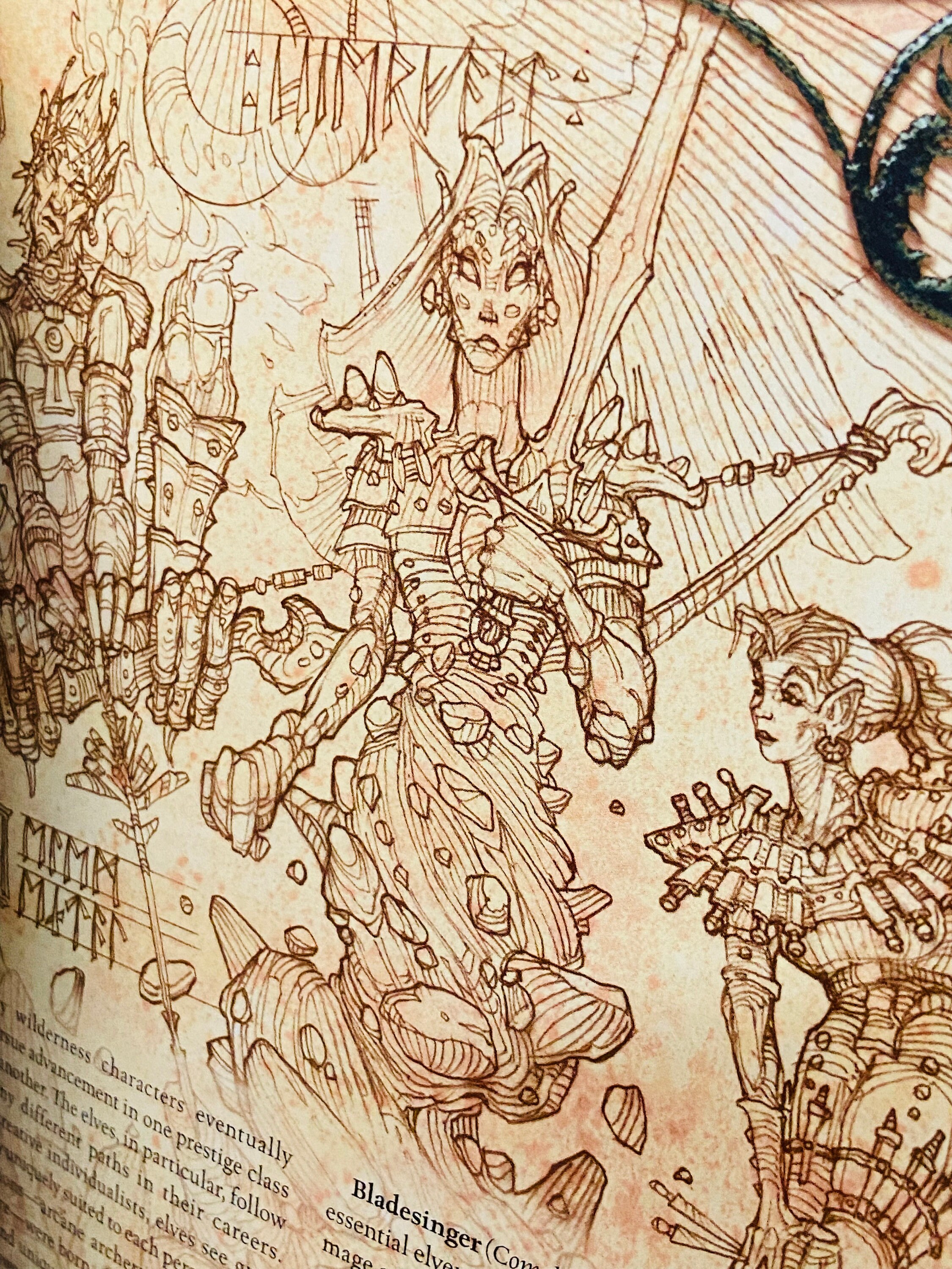 Races of the Wild (vintage Dungeons & Dragons Role-playing Game ...